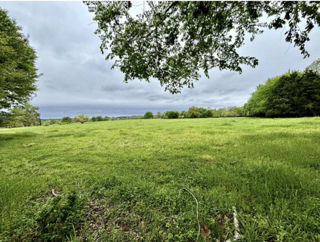 Land Listings - 4T Land Group